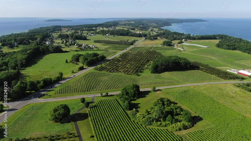 Vineyard tours Wine Tasting in Summer Grape vines Travel Trip Vacation ...