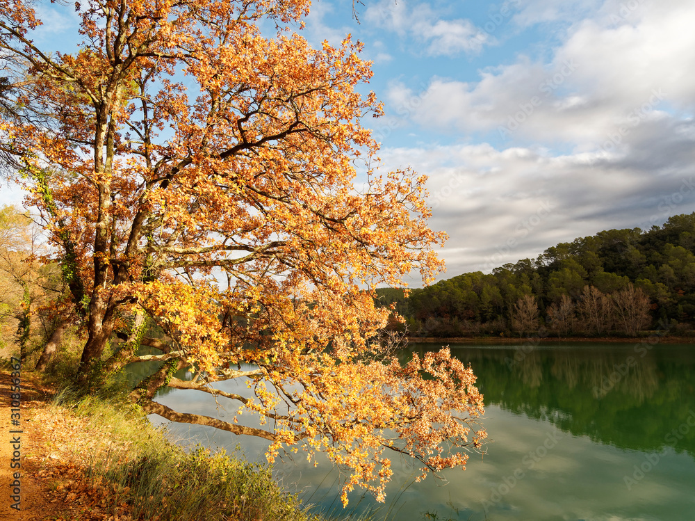 Paysage provençal. Reflets d'automne sur le lac de Suzanne ou lac de ...