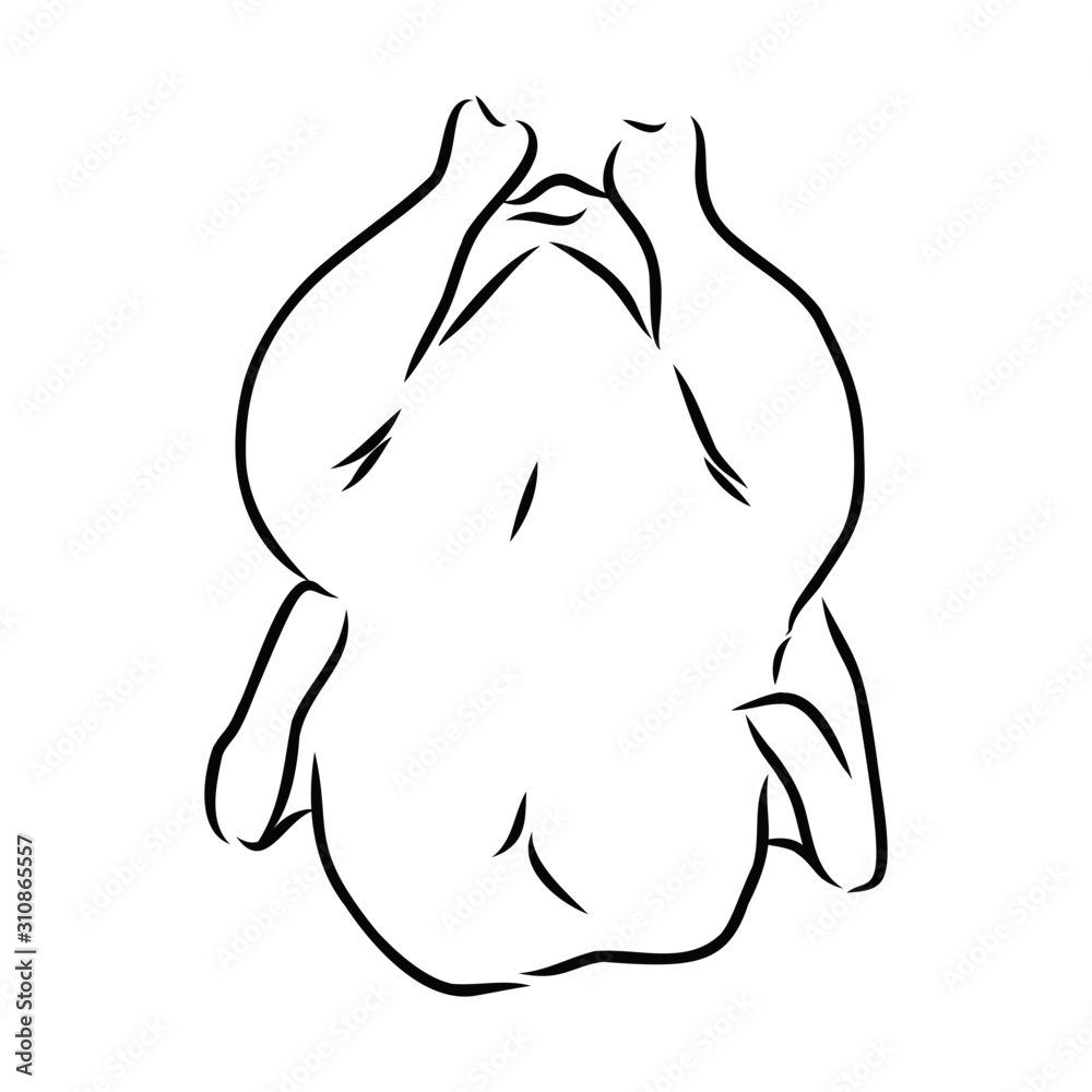 vector illustration of a chicken meat carcass Stock Vector | Adobe Stock