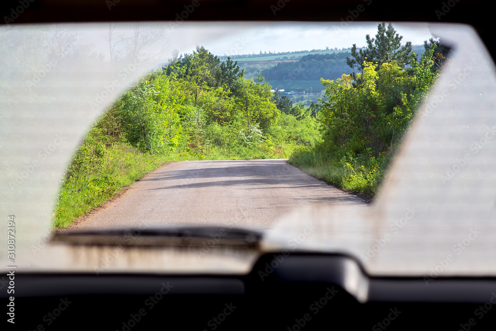 Asphalt road among trees in the forest. View through the rear window of ...