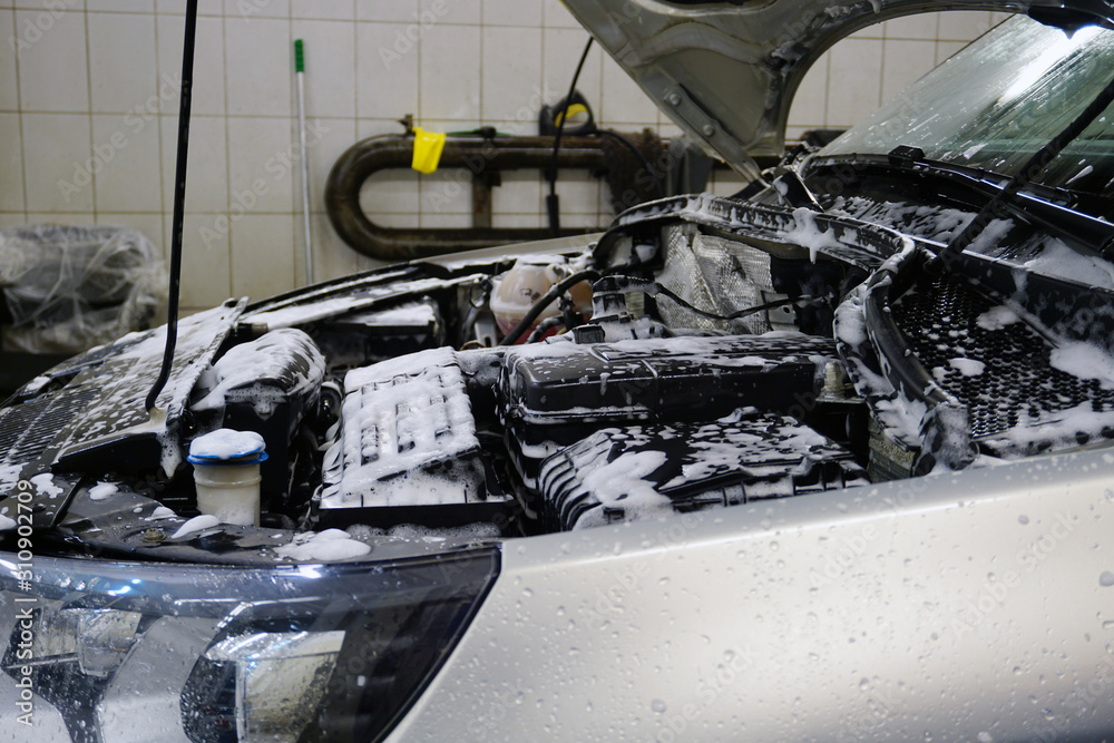 Cleaning, washing with a special composition of the engine compartment ...