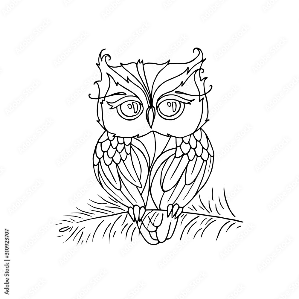 Cute Owl Black And White Drawing
