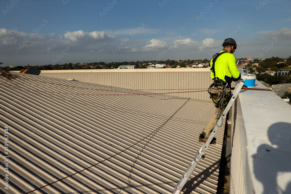 Construction worker painter wearing safety harness standing on industry ...
