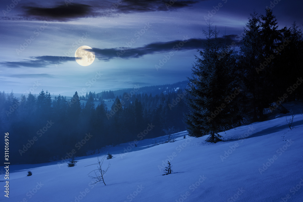 Beautiful Nature Winter At Night