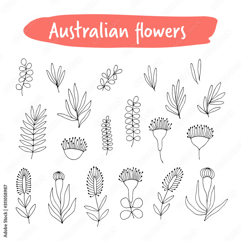 Set of hand drawn blac floral elements, australian flowers on ...