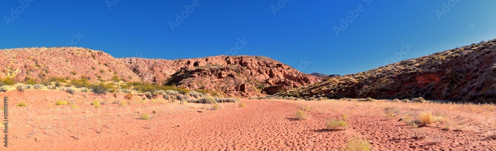 Red Cliffs National Conservation Area Wilderness and Snow Canyon State ...
