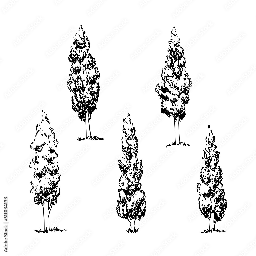 Set of hand drawn column trees, hand drawn sketch, architect elements ...