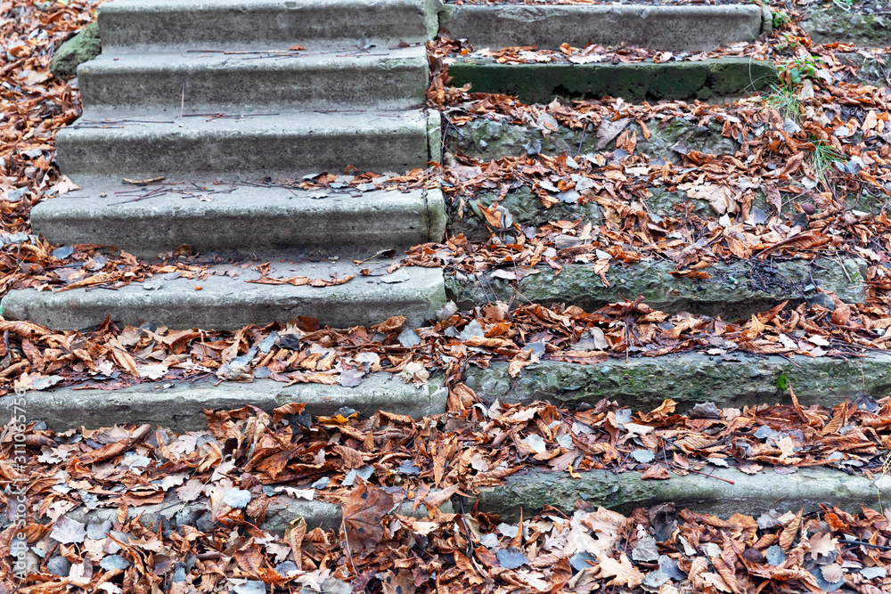 The old, crumbling, concrete staircase in the Park is covered with dry ...