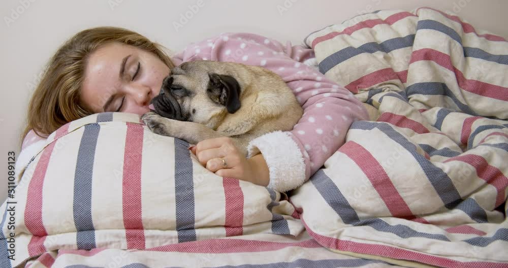 Adorable teen girl and her pug dog in the bed are sleeping together ...