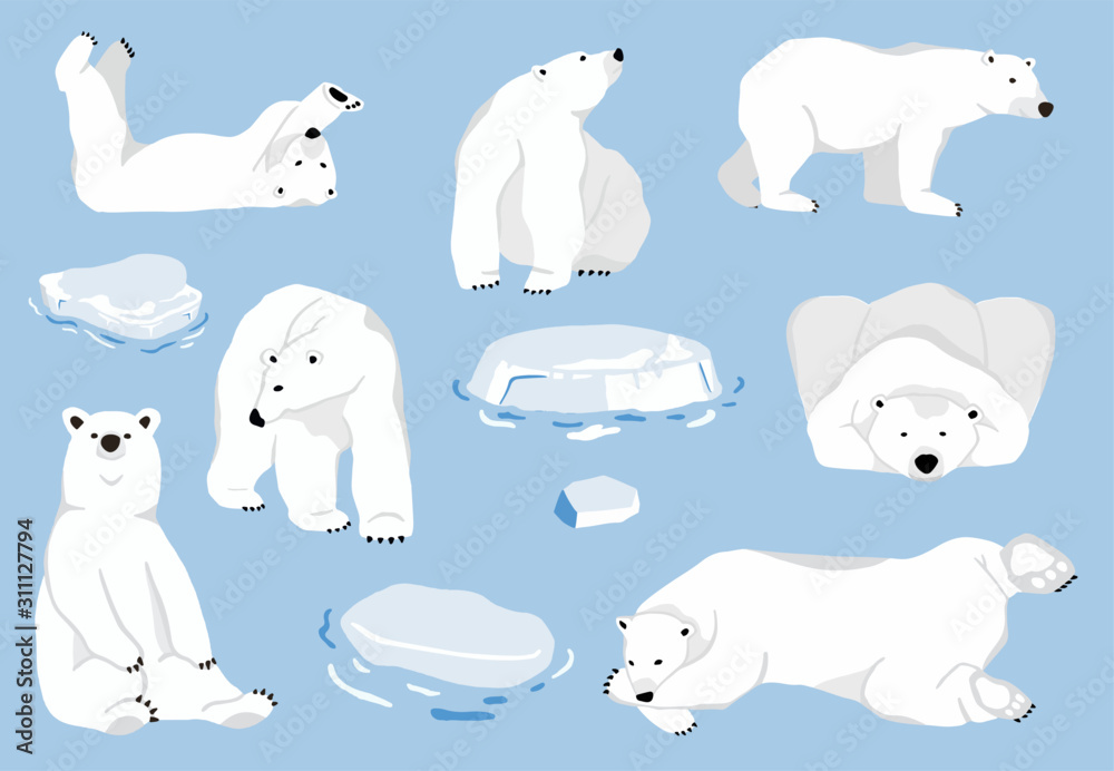 Simple white bear character.Vector illustration character doodle ...