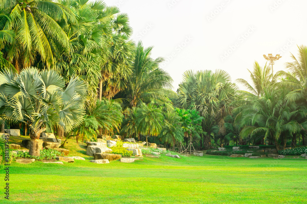 Fresh green manila grass yard, smooth lawn in a beautiful botanical ...