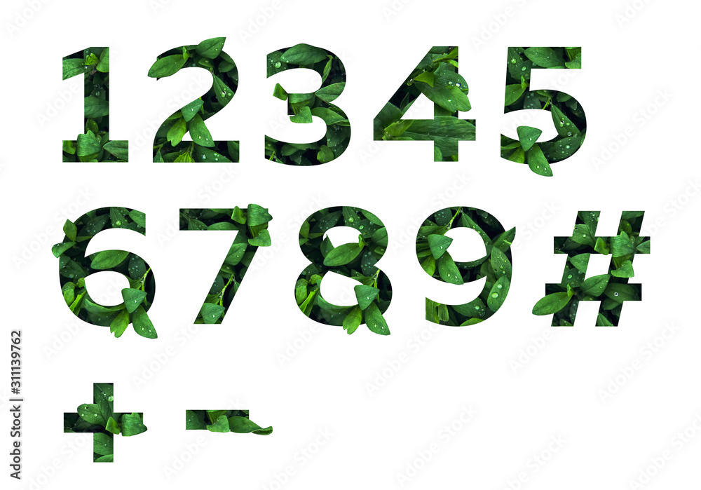 numbers and signs. Green Font Collection of Leaves English Alphabet ...