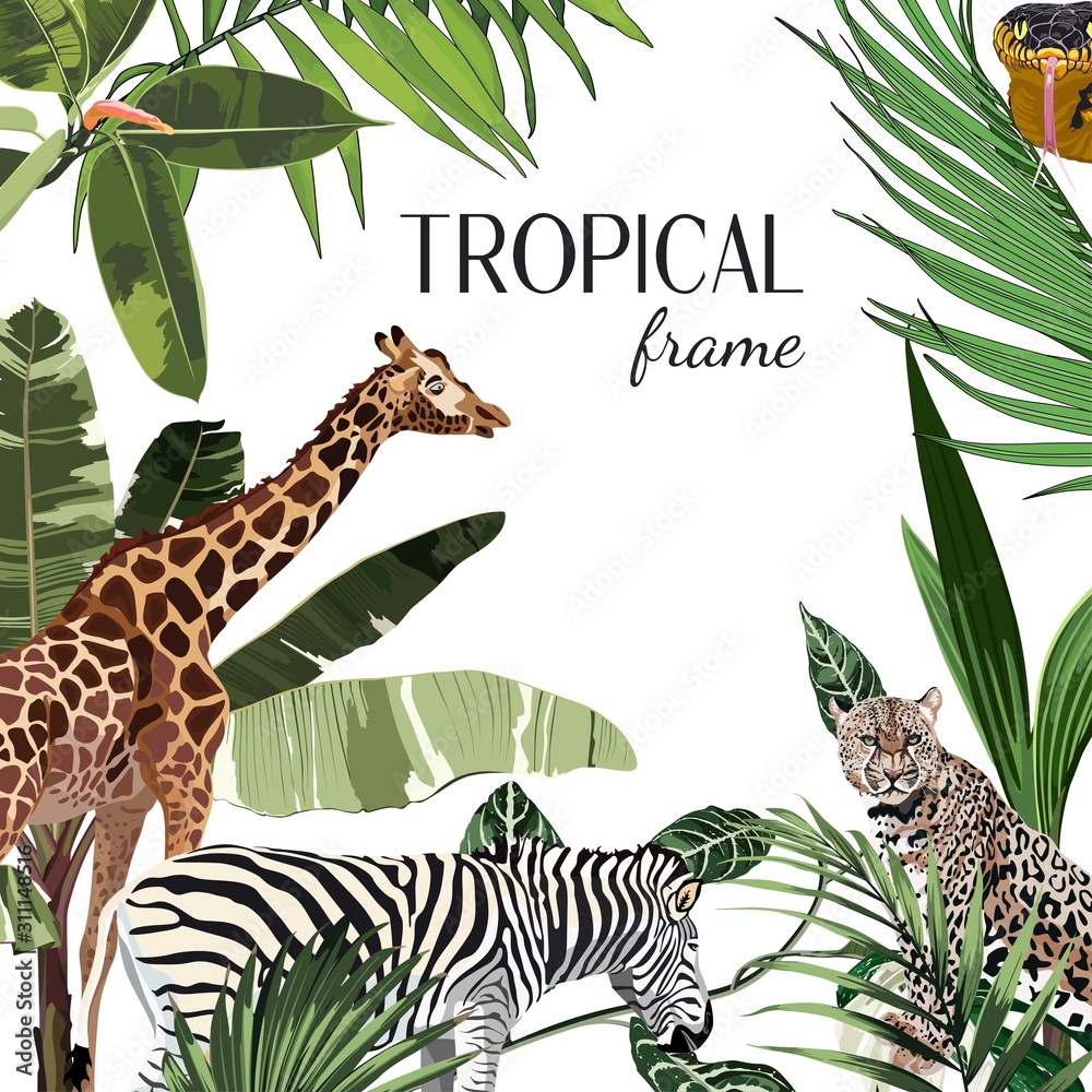 African Safari Animals Frame, Cute Animals, Nature and Wildlife ...