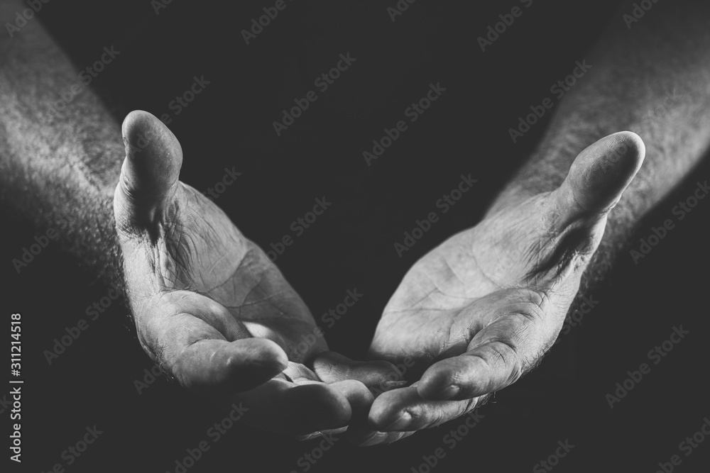 two hands open at the top, begging hands Stock Photo | Adobe Stock