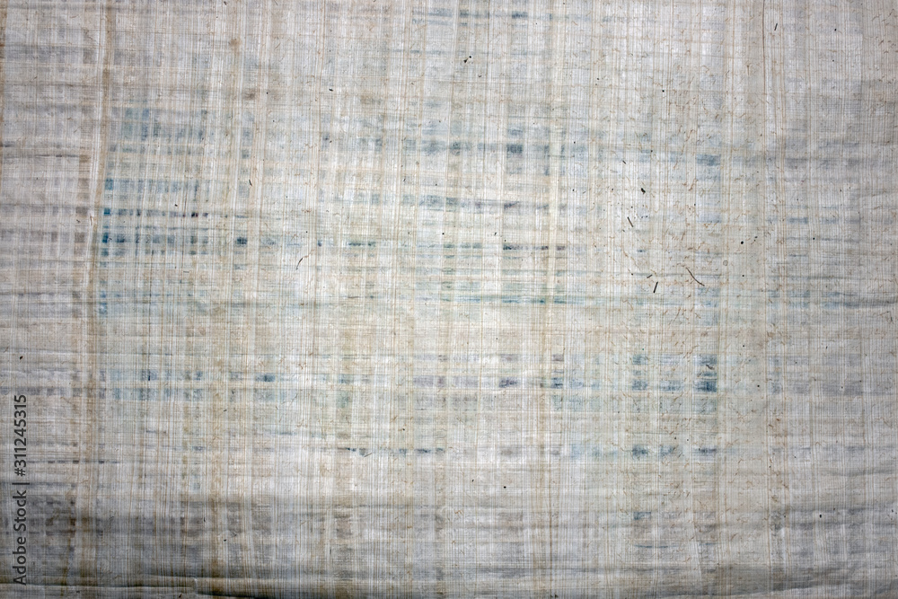 Papyrus simulated paper texture closeup. The structure of the old ...