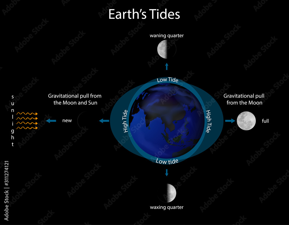 Photo & Art Print Diagram showing earth tide, blueringmedia