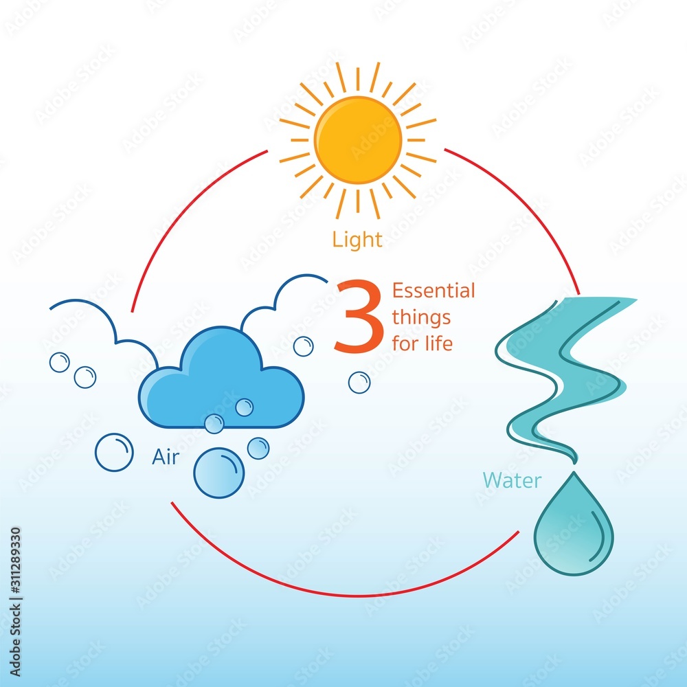 3 essential things for life infographic design. Air,water and light ...