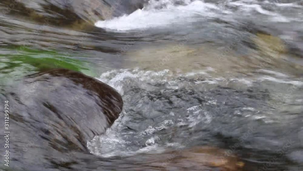 The clean water of the stream, as a bioindicator to determine the ...