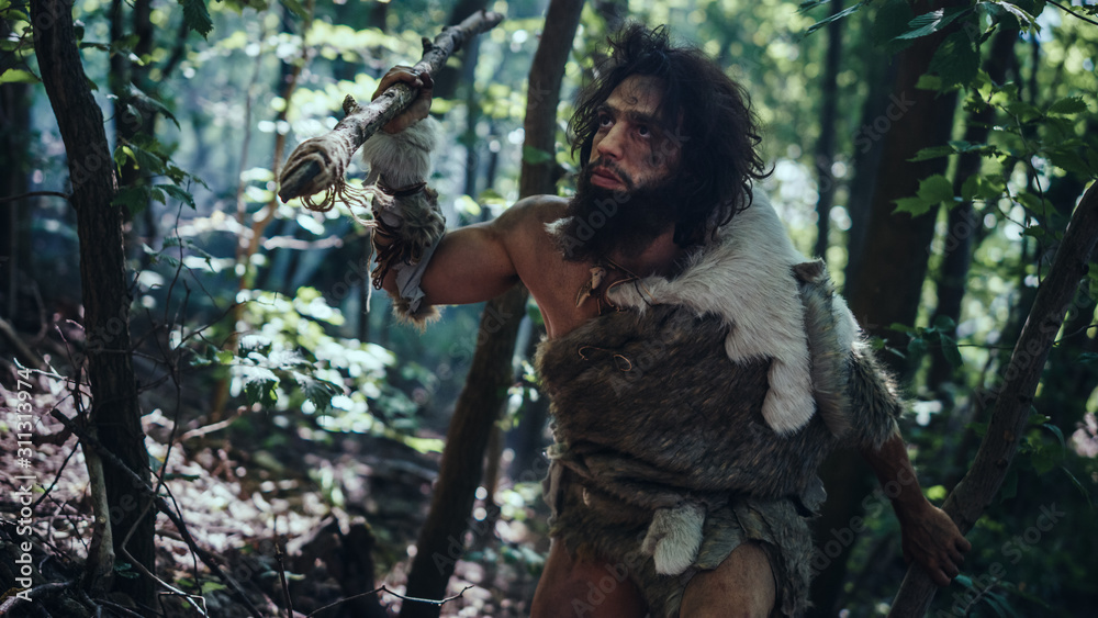 Close-up Portrait of Primeval Caveman Wearing Animal Skin and Fur ...