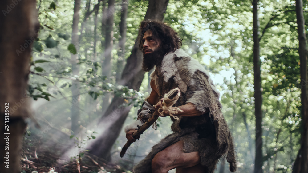 Primeval Caveman Wearing Animal Skin Holds Stone Tipped Spear Looks ...