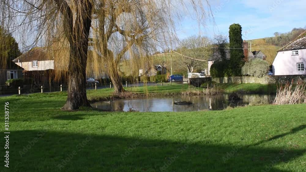 East Dean Village green and pond with reflections of an old English ...