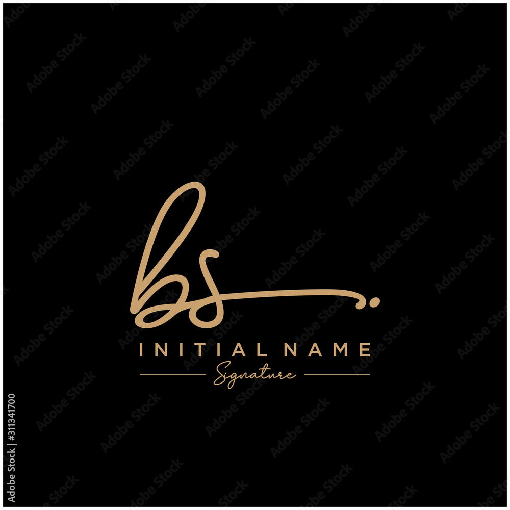 Letter BS Signature Logo Template Vector Stock Vector | Adobe Stock