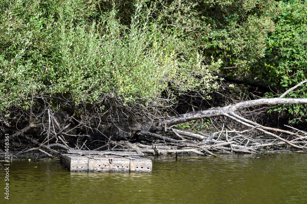 pêche nasse à moitier dans l'eau végétation en arrière plan au lac de ...
