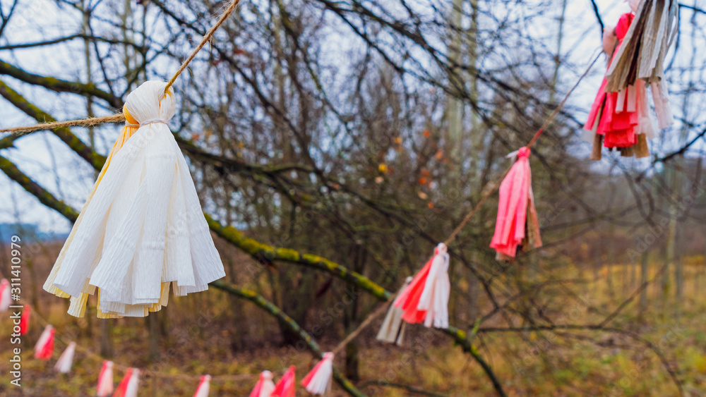Strange pagan amulets on trees. Worship of pagan Gods and trees ...