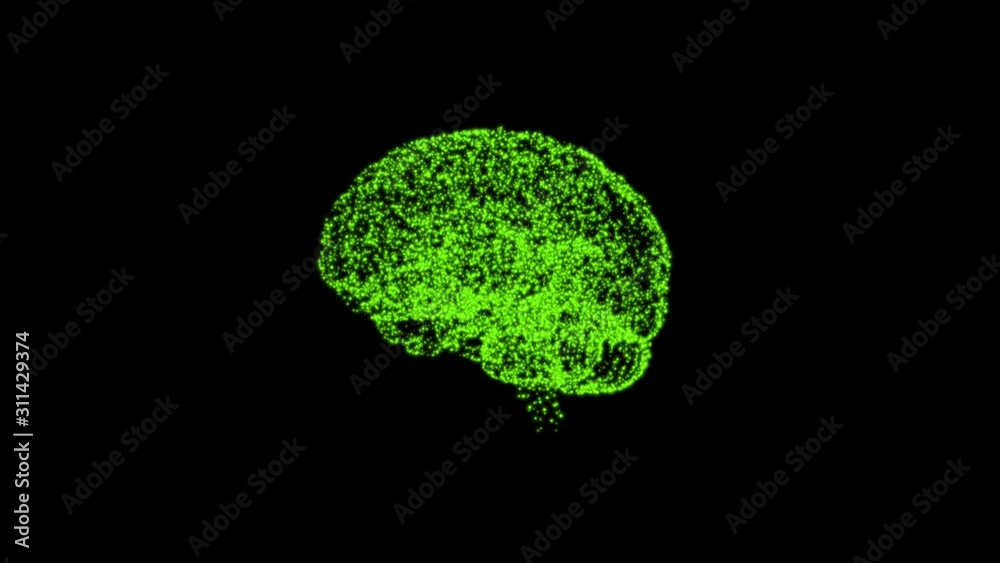 Concept of human intelligence. Abstract green model of human brain ...