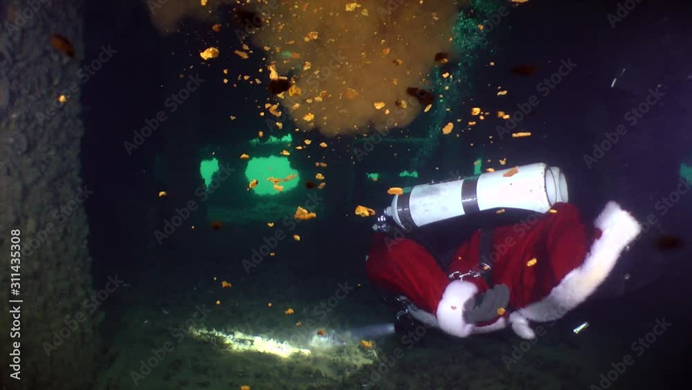 Divers celebrate New Year under water: A diver dressed in a Santa Claus ...