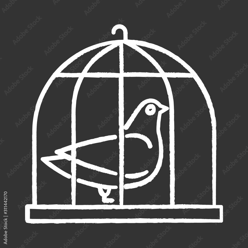 Pigeon in cage chalk icon. Captive bird. Harbinger of peace ...