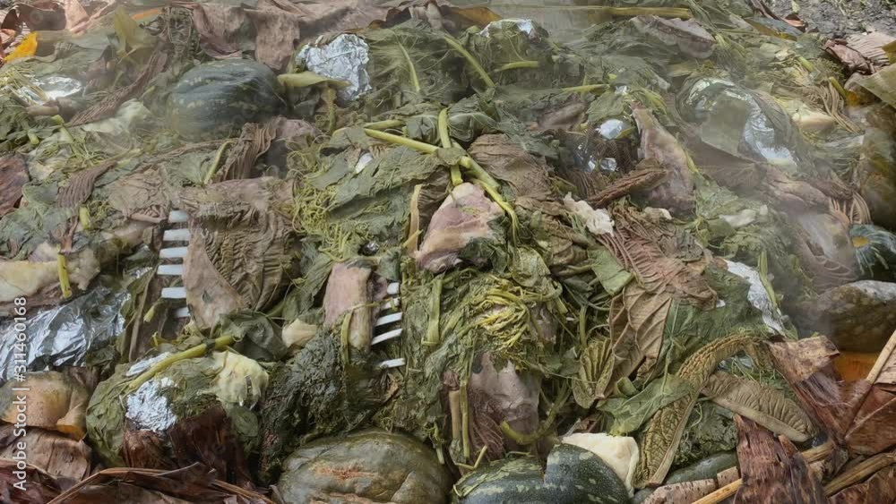 Mumu, traditional method of cooking large quantities of food for ...