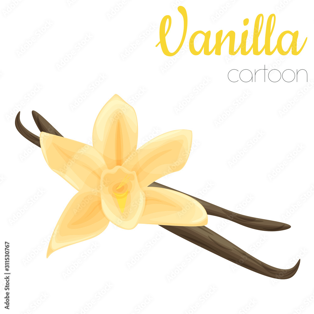 Vanilla Flower Clipart