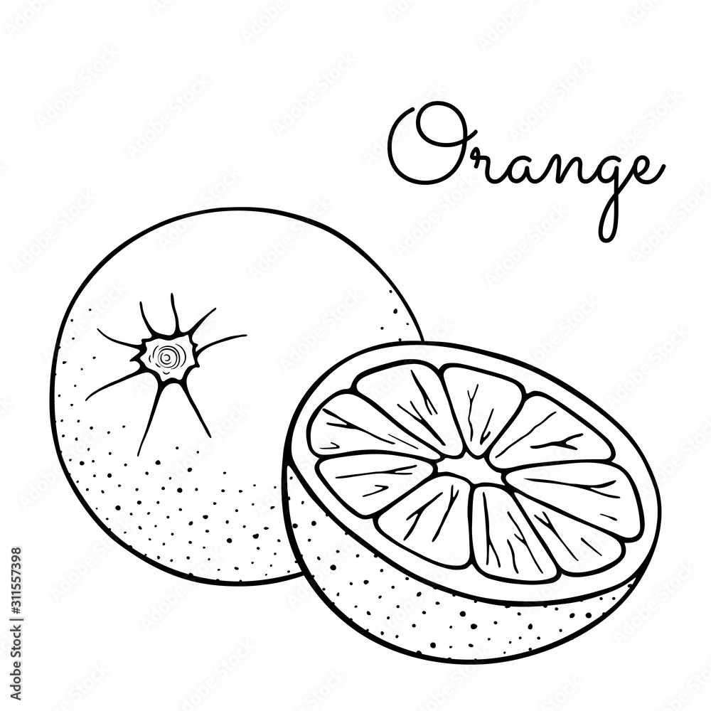 Tangerine Coloring Pages