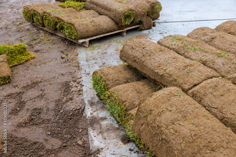 Pallet with stacked rolls of lawn on the for new lawn, grass ...