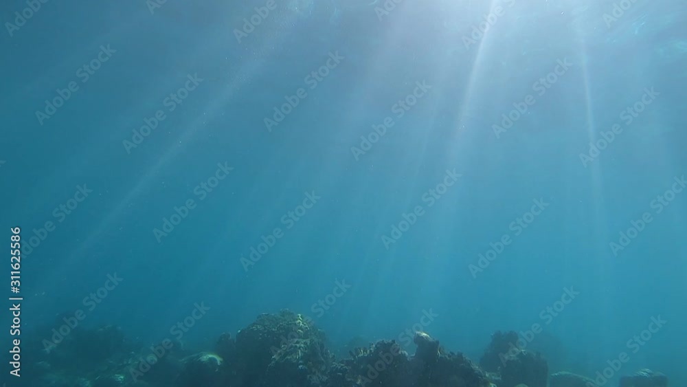 Light rays in water Stock Video | Adobe Stock