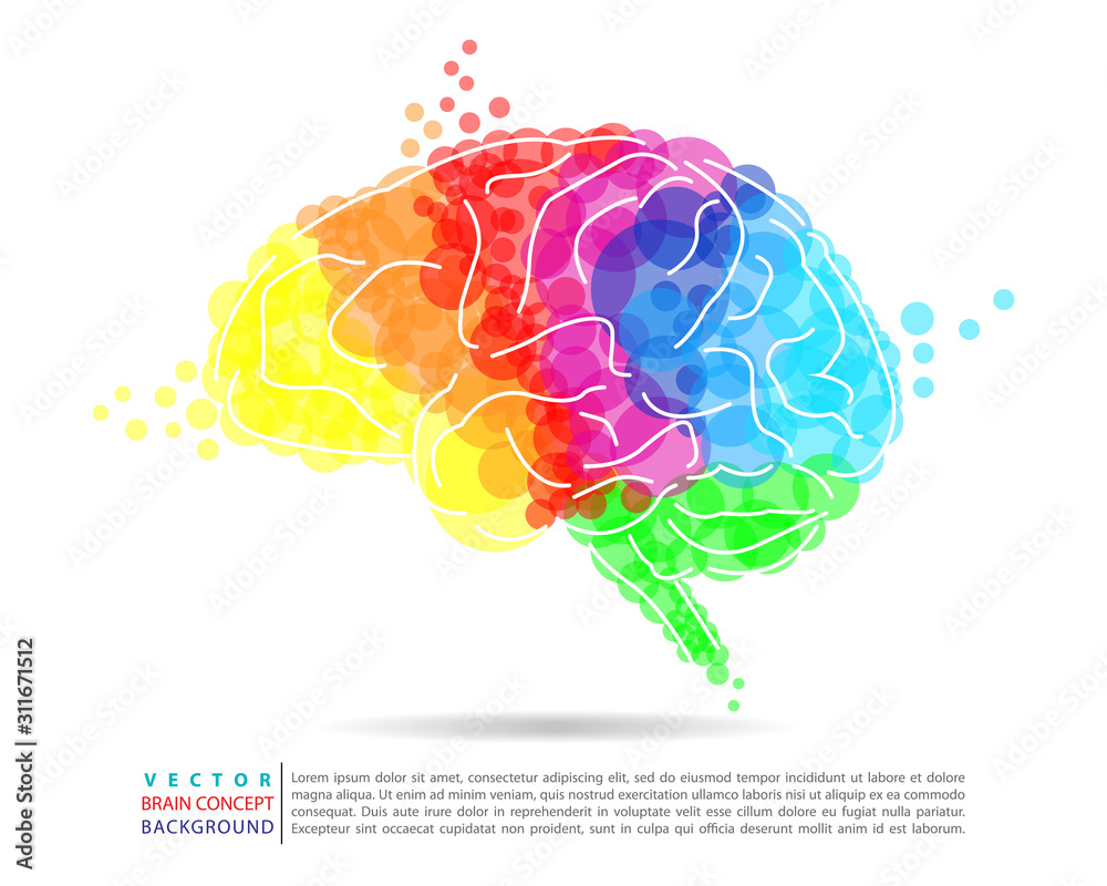 Colorful brain image concept in vector illustration Stock Vector ...