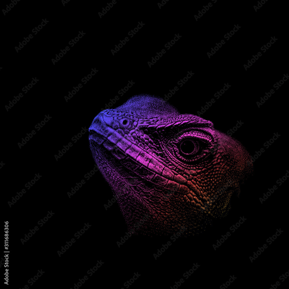 Hand sketched Lizard. Isolated animal illustration on white background ...