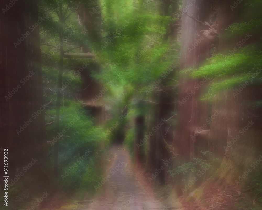 Abstract blur forest at Kumano Kodo Daimonzaka Slope in Wakayama, Japan ...