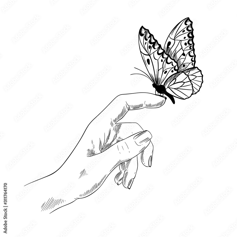 Butterfly on finger, girl hand, ink sketch Stock Vector | Adobe Stock