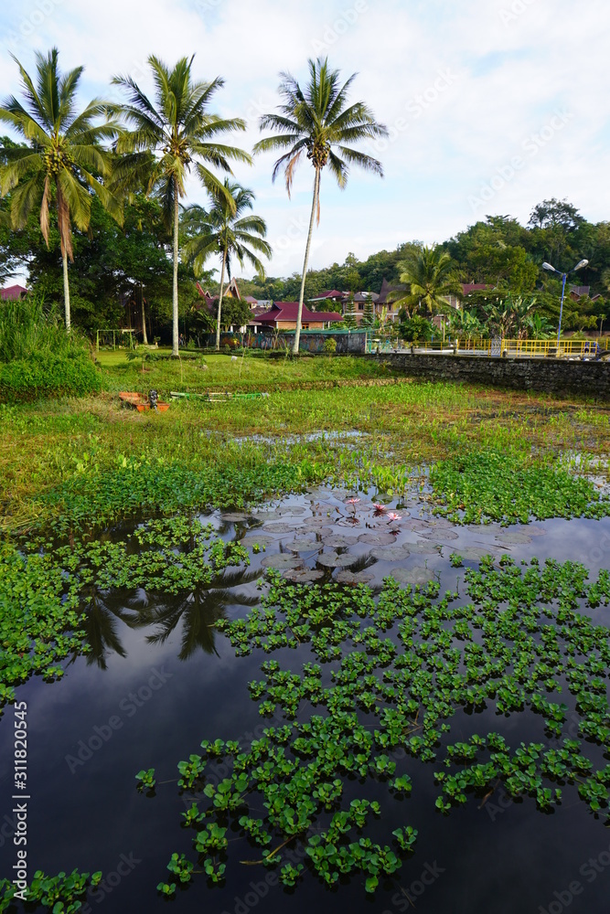 Beautiful tropical scenery of Samosir. Samosir Island, is a large ...