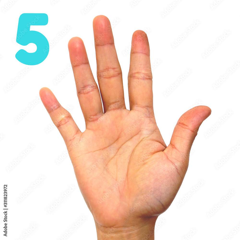 Sign language number 5 for the deaf . Fingerspelling in American Sign ...