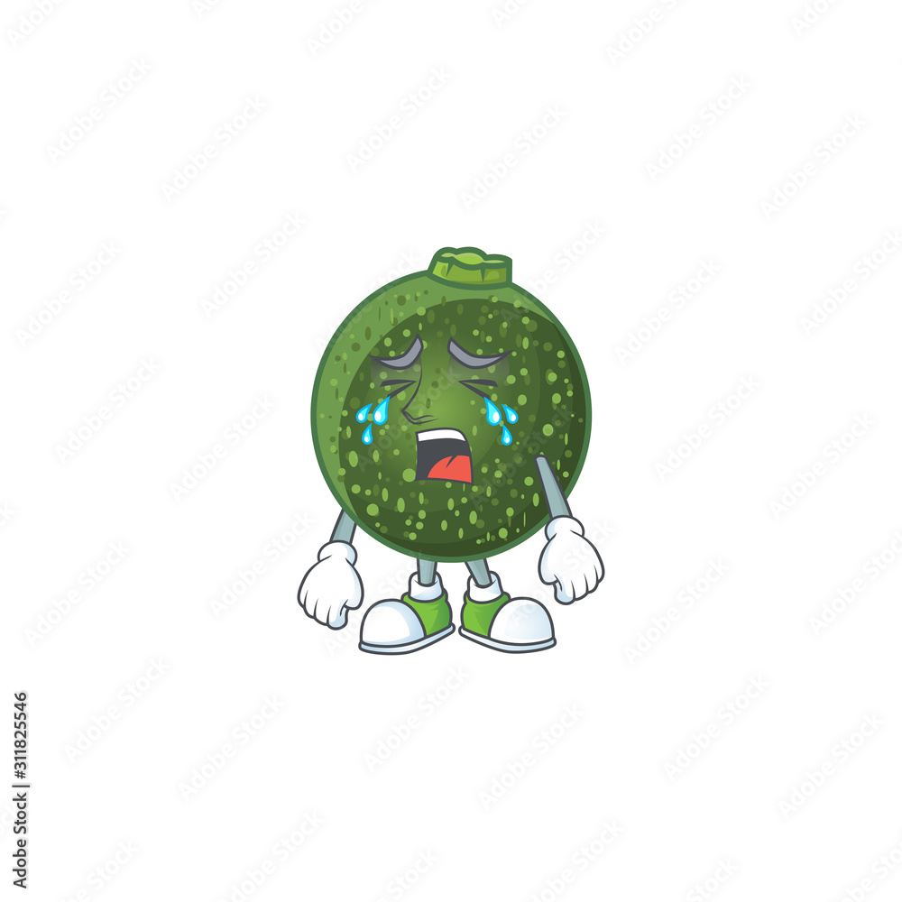 Sad Crying gesture gem squash cartoon character style Stock Vector ...