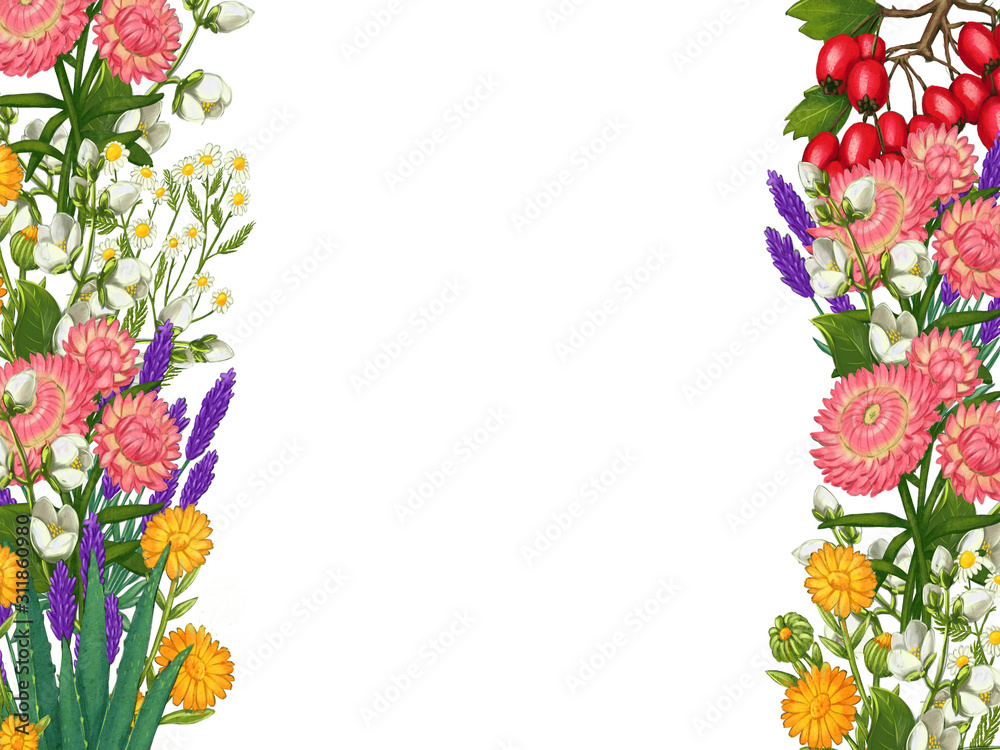 Hand drawn medicinal plant frame. Healing herbs border. isolated on ...