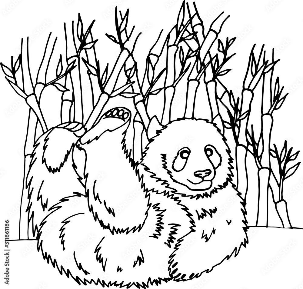 Coloring page with panda and bamboo Stock Illustration | Adobe Stock