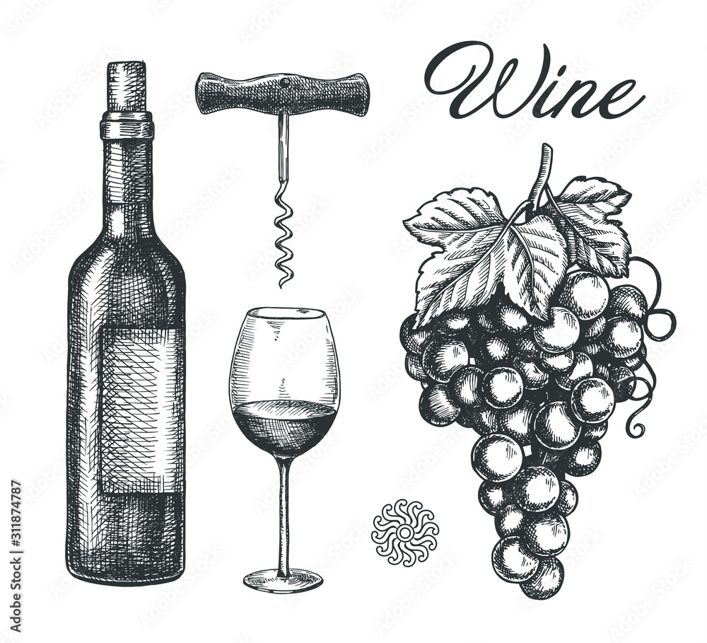 Hand Drawn Wine Elements including wine glass, bottle, wine cork, grape ...