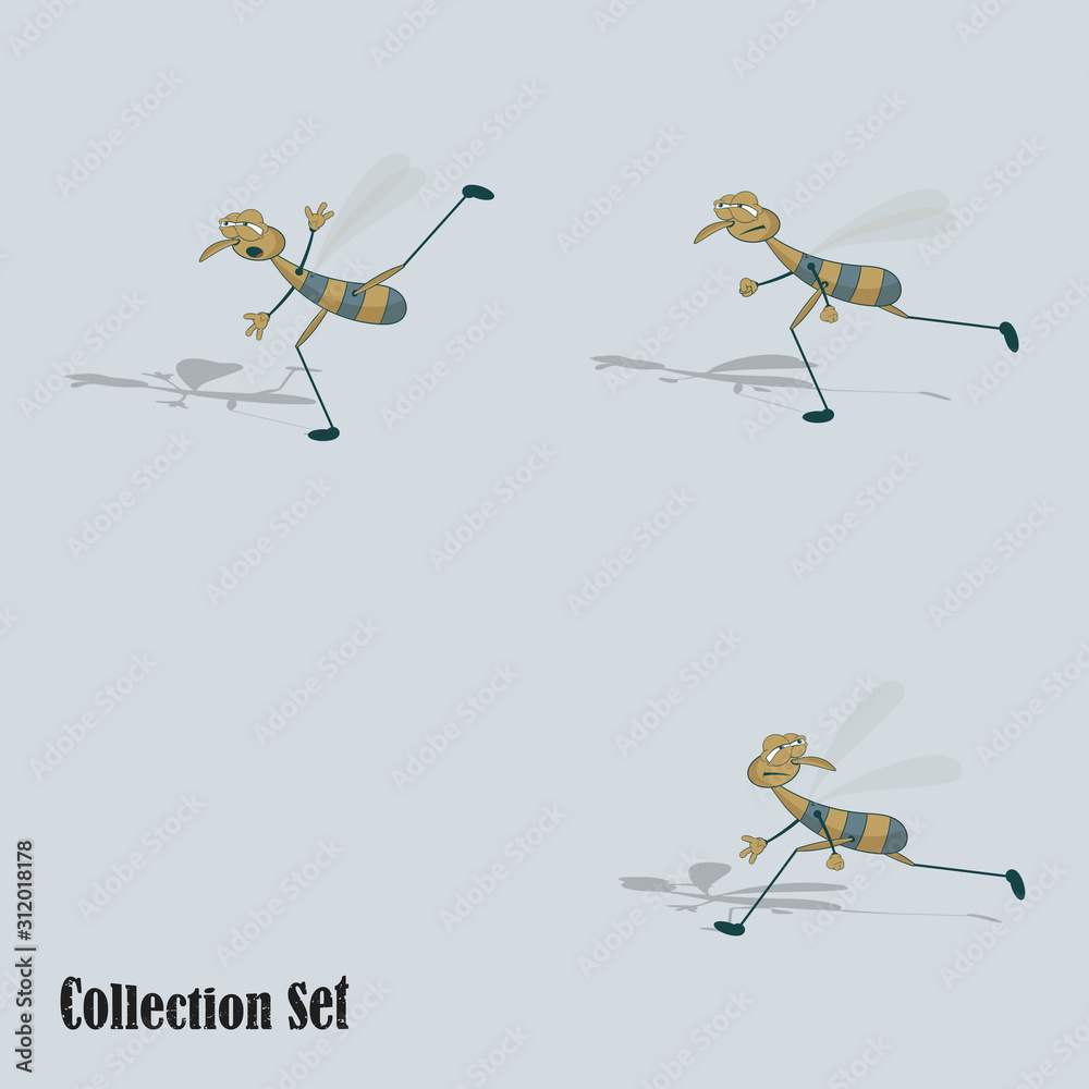 Water strider in various poses. Vector set for design. Stock Vector ...
