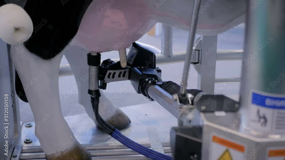 Automatic cow milking robot arm machine demonstrates functionality at ...