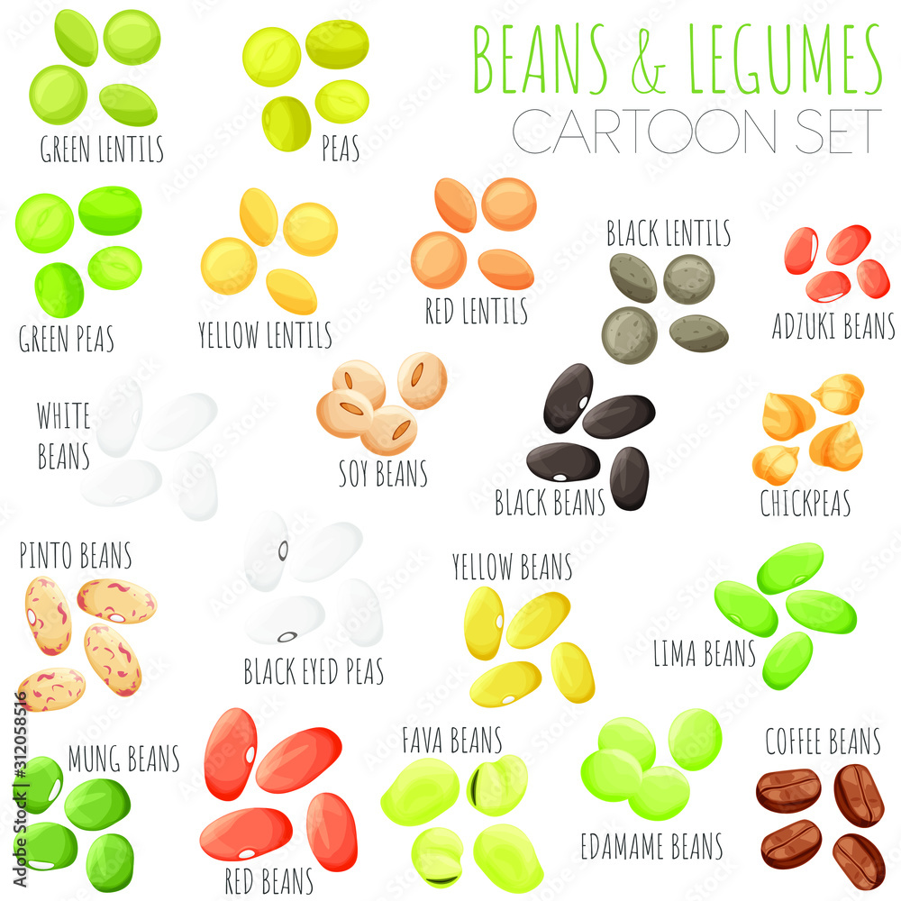 Beans and legumes vector set, cartoon style isolated illustrations ...