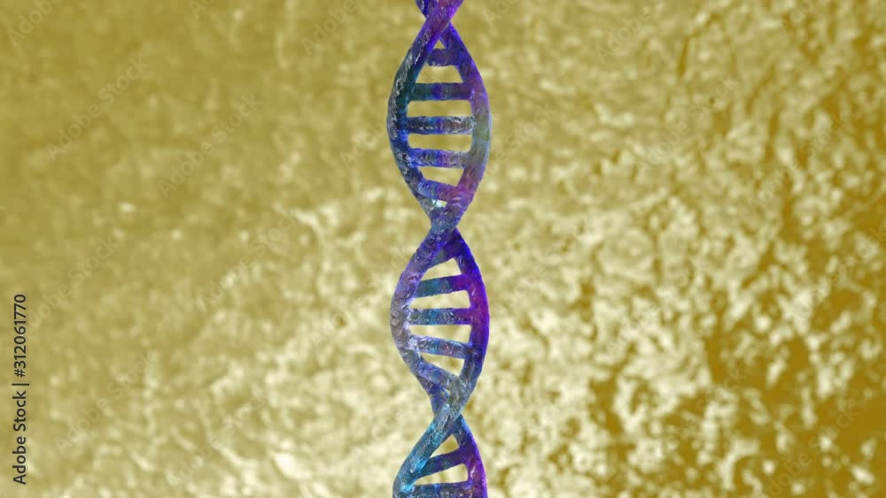 3D structural model of a DNA double helix. Isolated looped rotation of ...